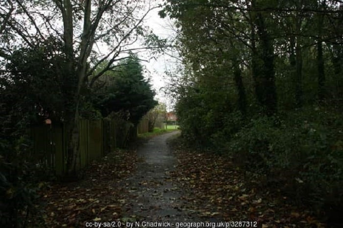 11 Most Beautiful Walks Near London To Enjoy